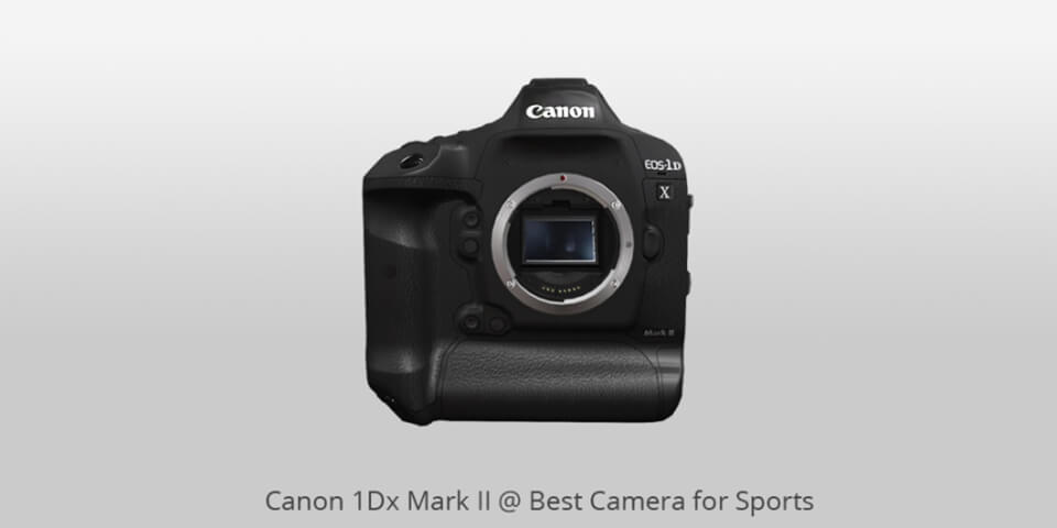 10 Best Cameras for Sports and Action Photos – What is the Best DSLR ...
