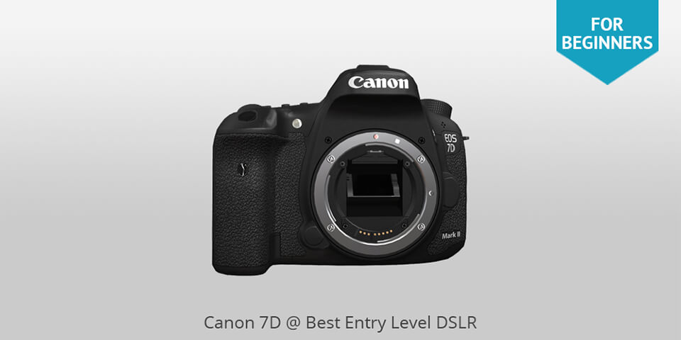 15 Best Entry Level DSLRs in 2022
