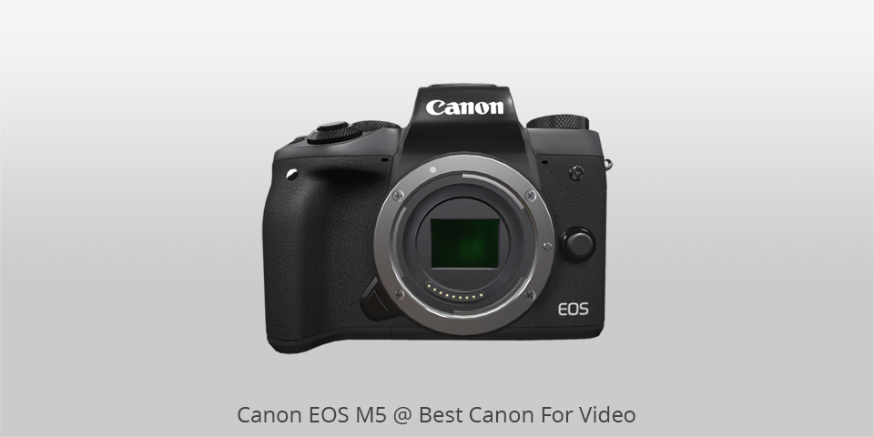 11 Best Canon Cameras for Video - What's the Best Canon Camera for ...