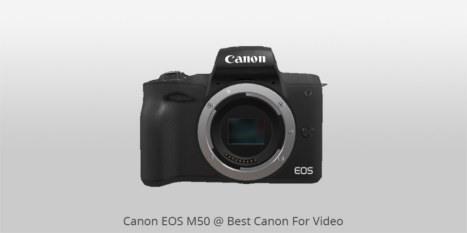 11 Best Canon Cameras for Video - What's the Best Canon Camera for ...