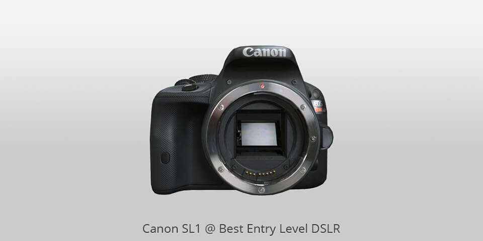 15 Best Entry Level DSLRs in 2022