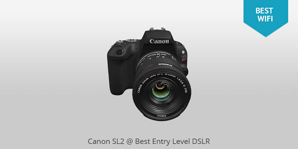 15 Best Entry Level DSLRs in 2022