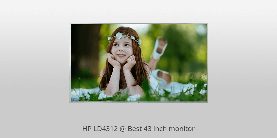 9 Best 43-inch Monitors in 2022