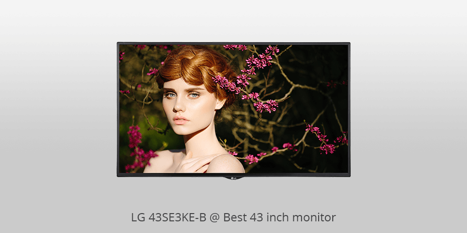 9 Best 43-inch Monitors in 2022