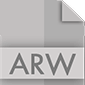 ARW File: How to Open and Convert?