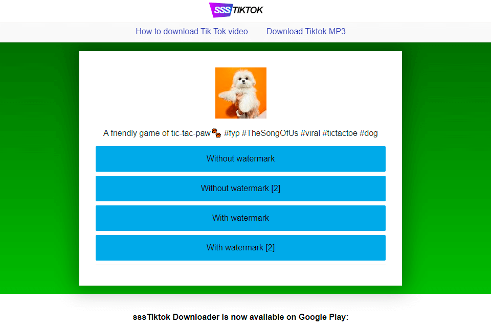 11 Best TikTok Video Downloaders in 2022