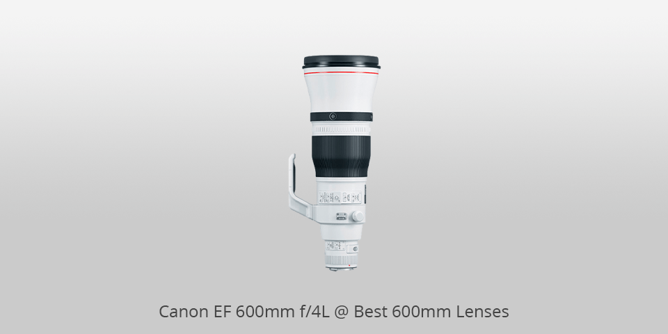6 Best 600mm Lenses in 2025: Best Deals for Any Purpose