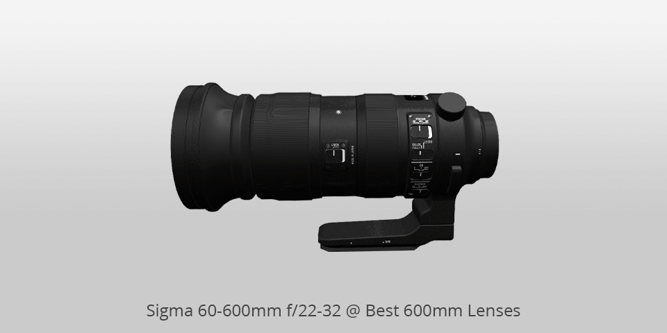 6 Best 600mm Lenses in 2025: Best Deals for Any Purpose