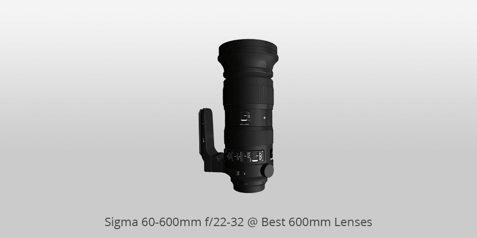 6 Best 600mm Lenses in 2025: Best Deals for Any Purpose
