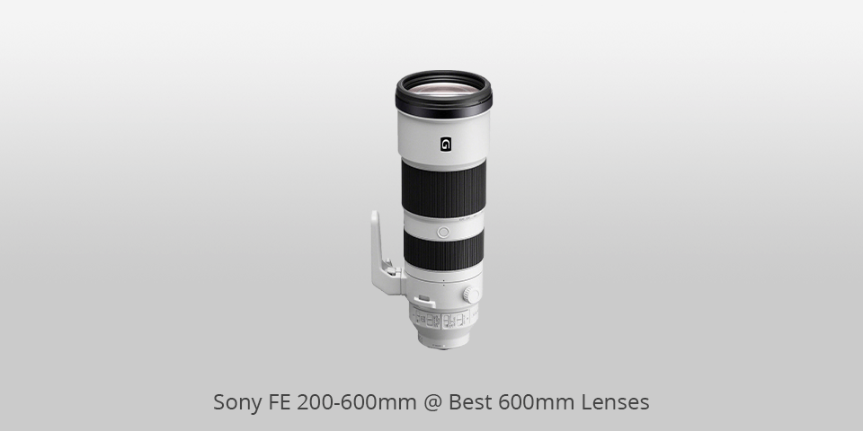 6 Best 600mm Lenses in 2025: Best Deals for Any Purpose