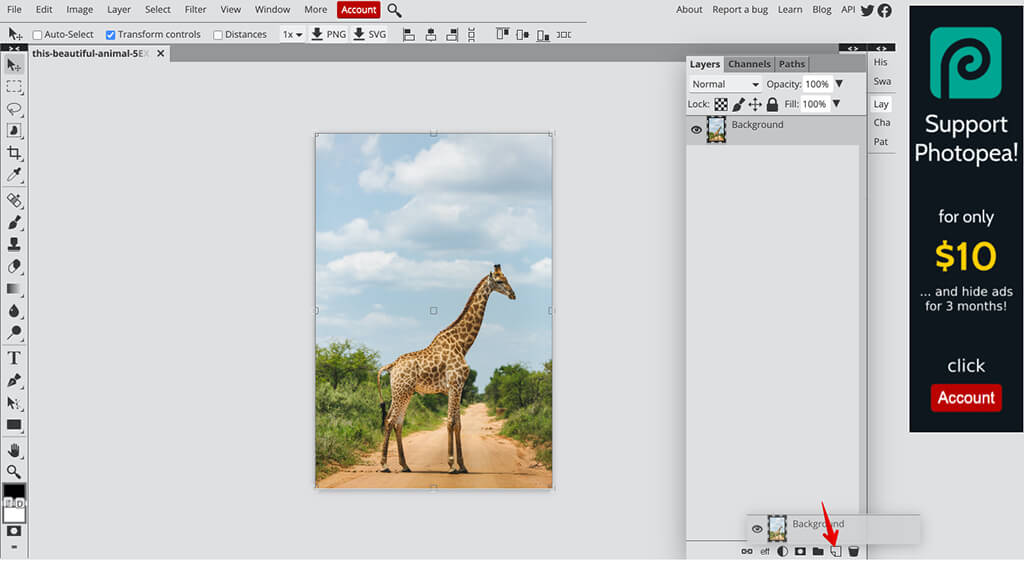 How to Make a Coloring Book from Scratch Using Only Free Tools