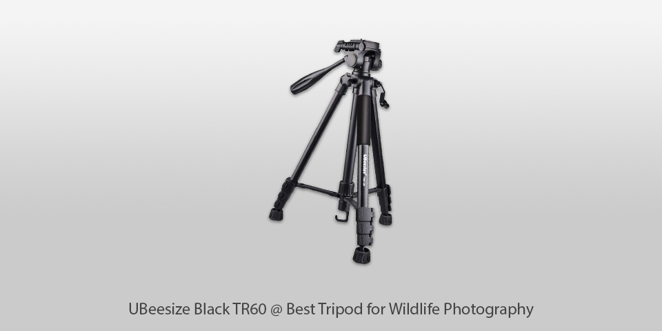 7 Best Tripods for Wildlife Photography in 2022