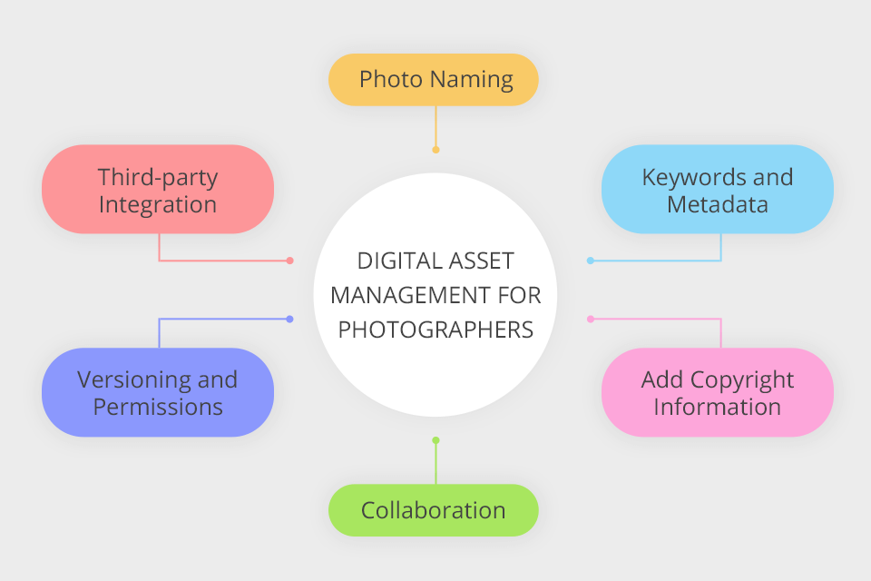 9 Best Digital Asset Management Software for Photographers