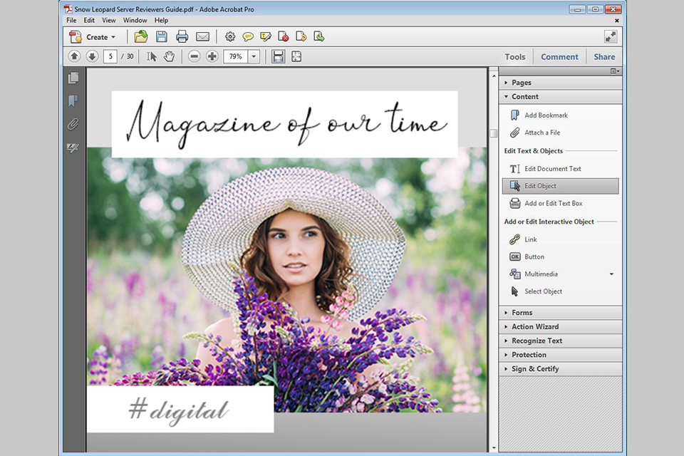 PDF File: Definition, How to Open and Convert?