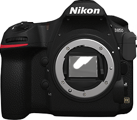 10 Best Cameras for Night Photography in 2020