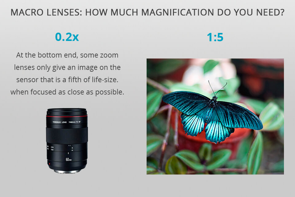 20 Photography Cheat Sheets & Infographics