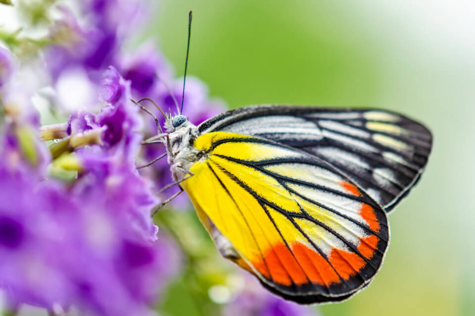 how-to-choose-a-camera-lens-6-main-parameters