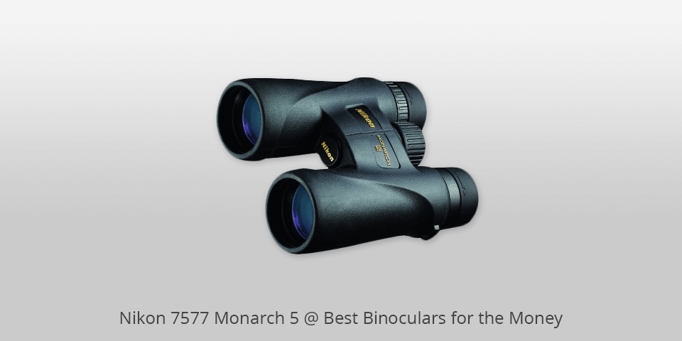 9 Best Binoculars for the Money in 2025