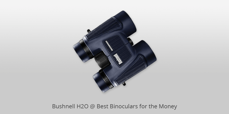 9 Best Binoculars for the Money in 2025