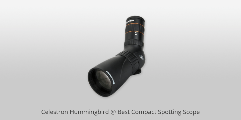 8 Best Compact Spotting Scopes in 2025