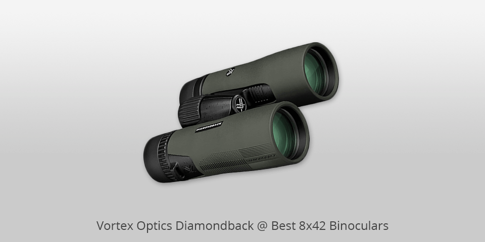 9 Best 8x42 Binoculars in 2025