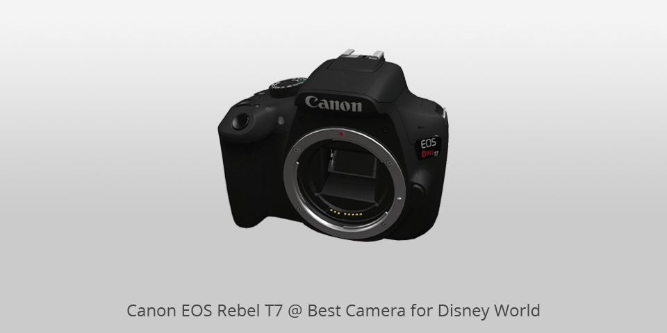 8 Best Cameras for Disney World in 2025