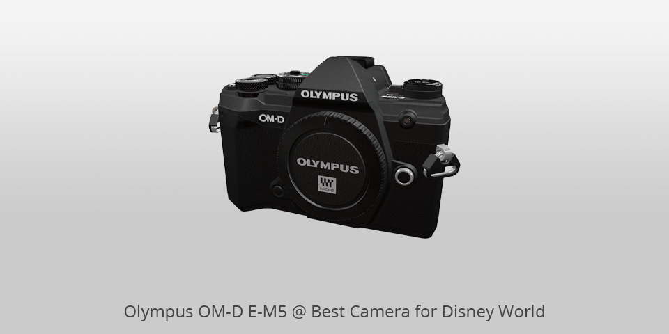 8 Best Cameras for Disney World in 2025