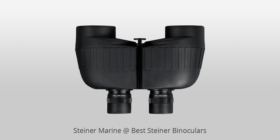 9 Best Steiner Binoculars in 2025
