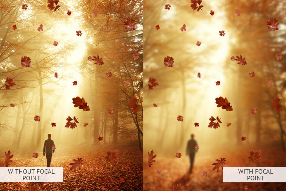 50 Forest Photography Tips for Better Forests Photos (+FREEBIES)