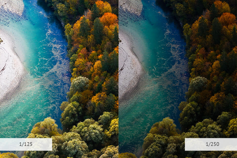 50 Forest Photography Tips for Better Forests Photos (+FREEBIES)