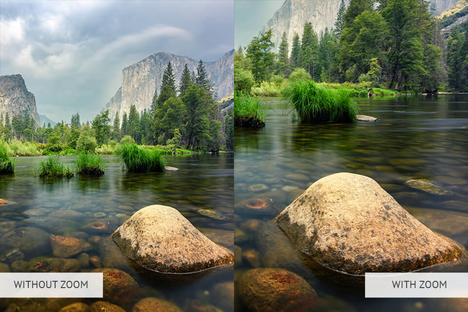 50 Forest Photography Tips for Better Forests Photos (+FREEBIES)