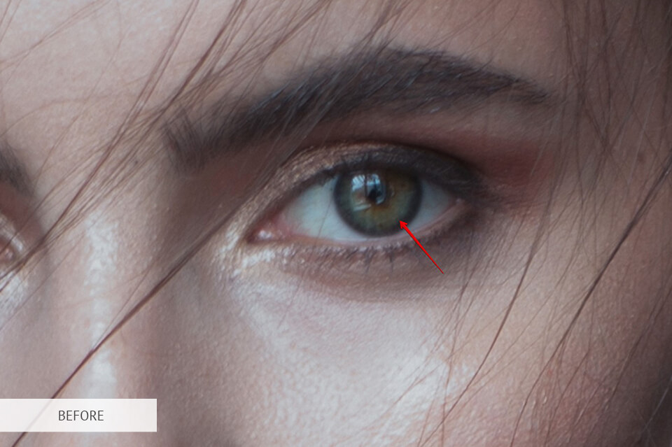 Camera Raw Vs Lightroom – What Software to Use?