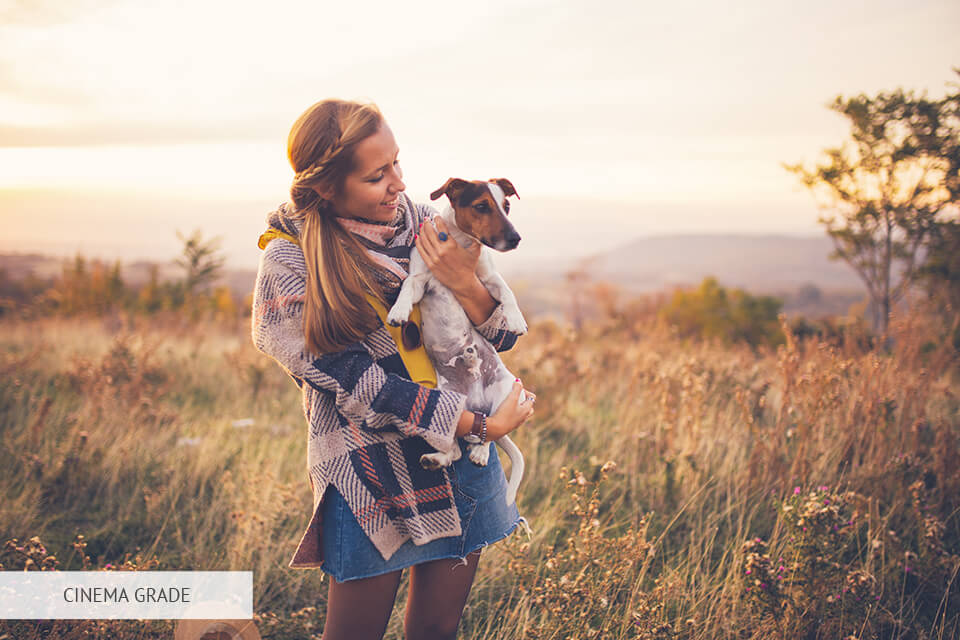 Color Grading Central LUTs Review +5 FREEBIES