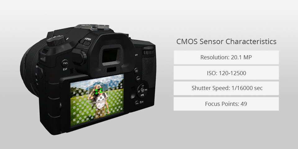 15 Best Bridge Cameras in 2022