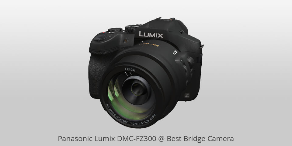 15 Best Bridge Cameras in 2022