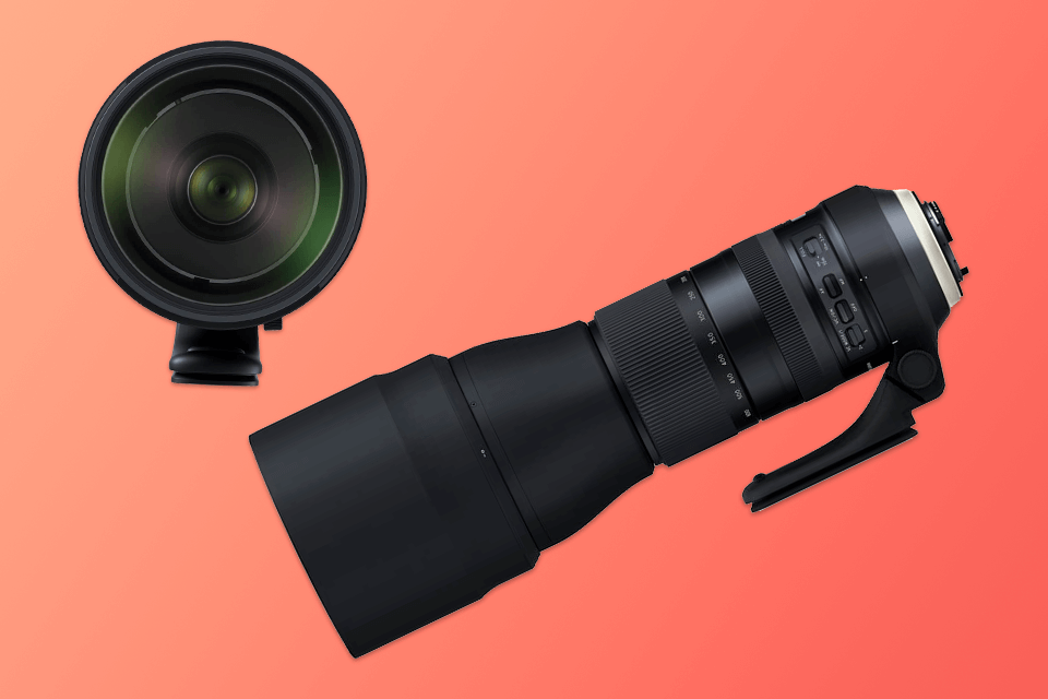6 Best 600mm Lenses in 2025: Best Deals for Any Purpose