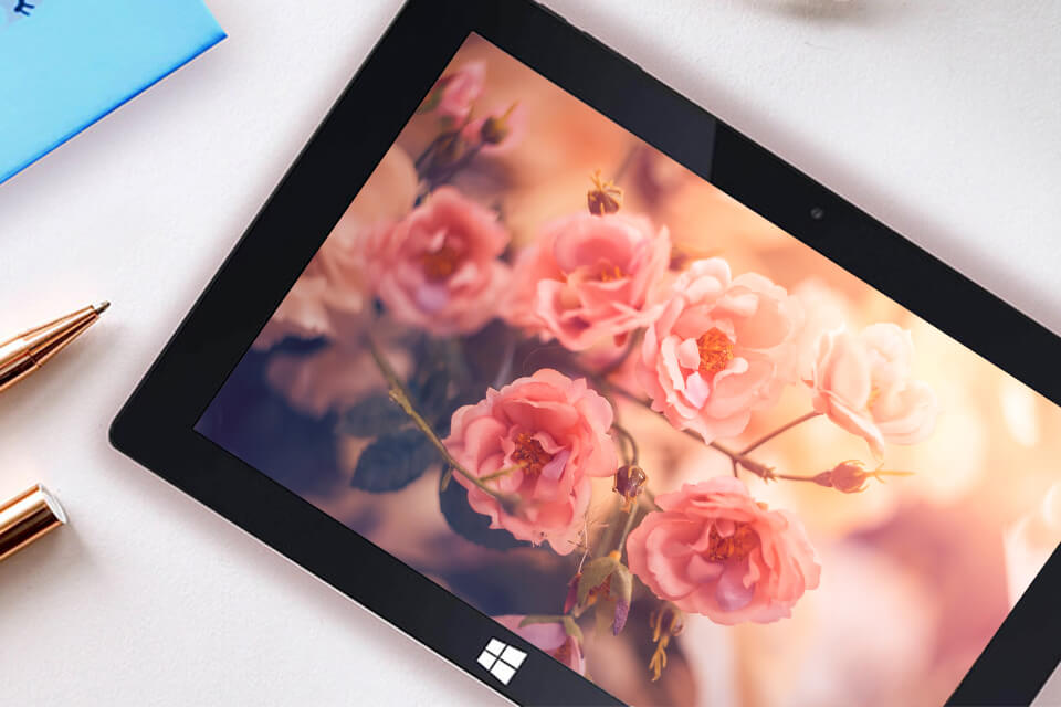 5 Best Windows Tablets in 2025