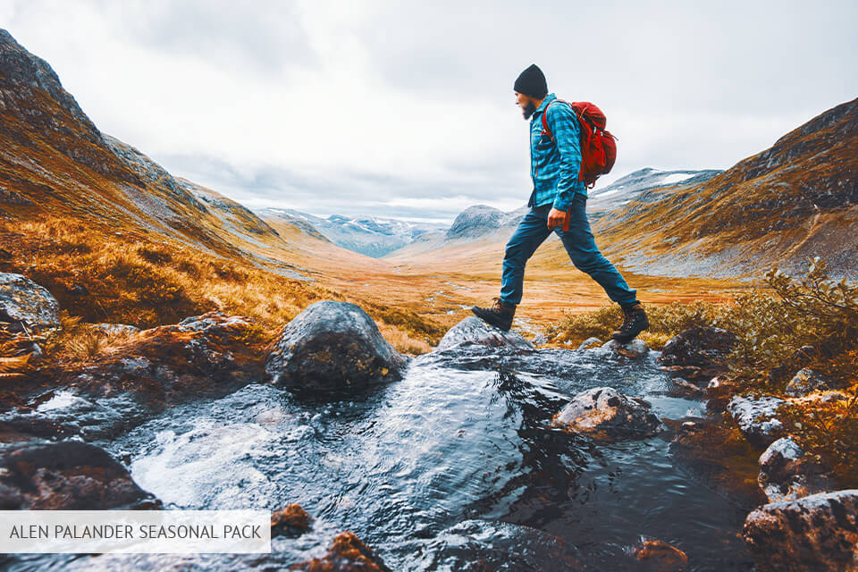 Alen Palander Presets Review (+3 FREE Presets)