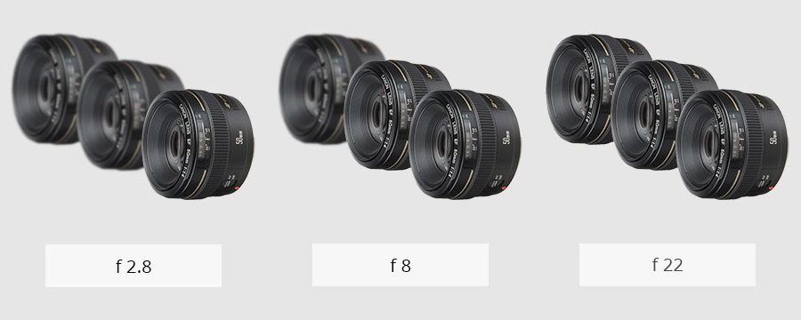 20 Film Photography Tips for Beginning Film Photographers