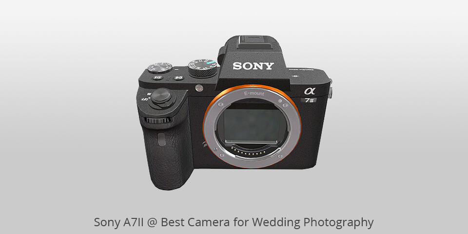 15 Best Cameras for Wedding Photographers – DSLR or Mirrorless, Canon ...