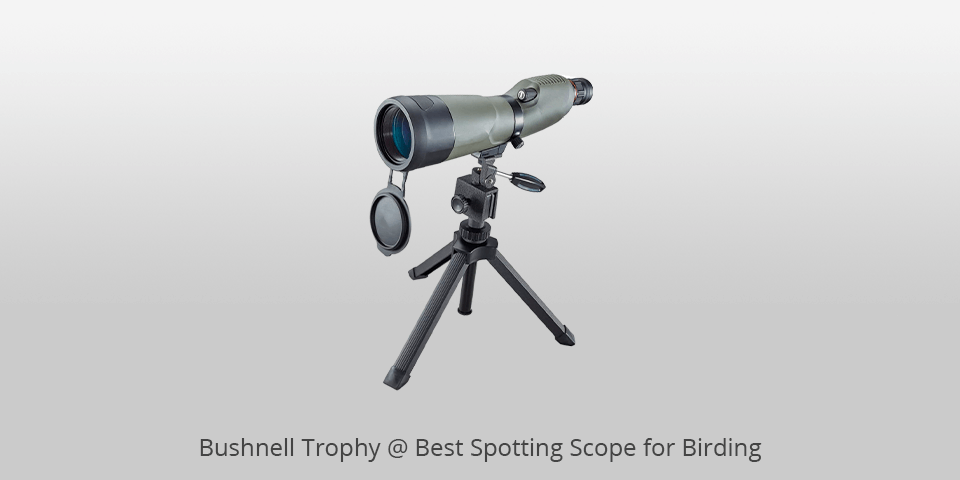 9 Best Spotting Scopes for Birding in 2025
