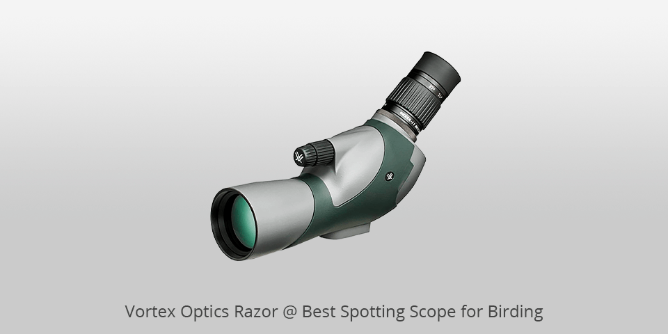 9 Best Spotting Scopes for Birding in 2025
