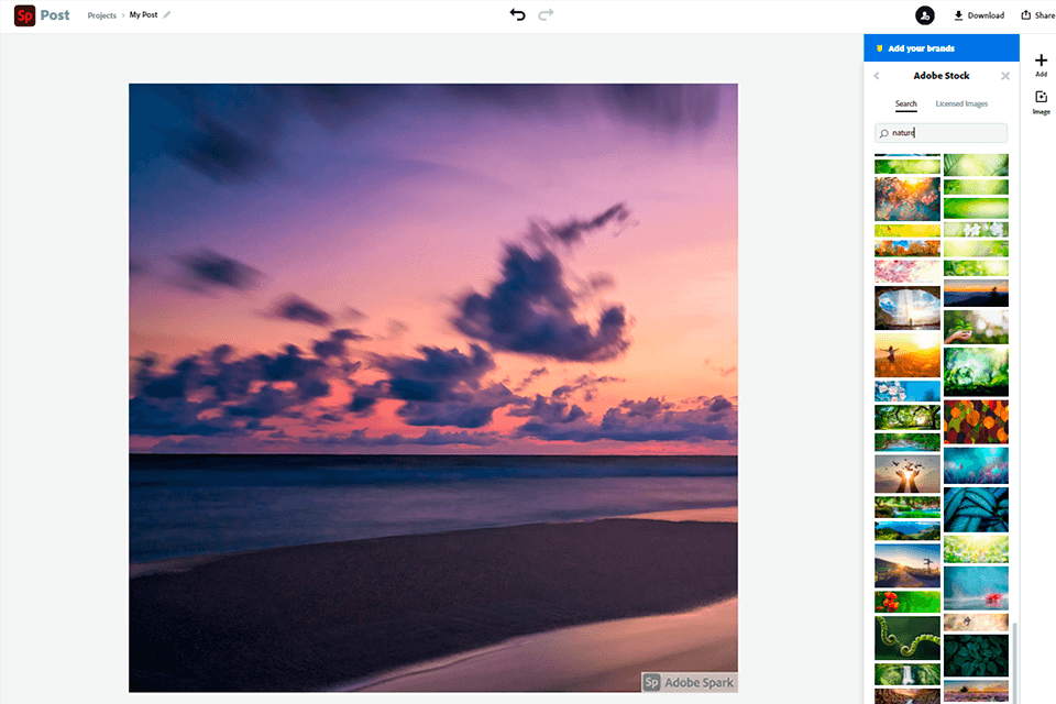 How to Use Adobe Spark – Beginner’s Tutorial