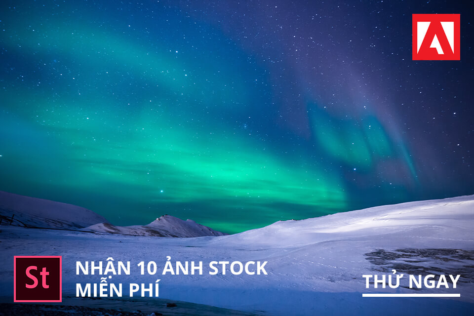 Adobe Stock là gì? Làm thế nào để sử dụng Adobe Stock miễn phí và tải ...