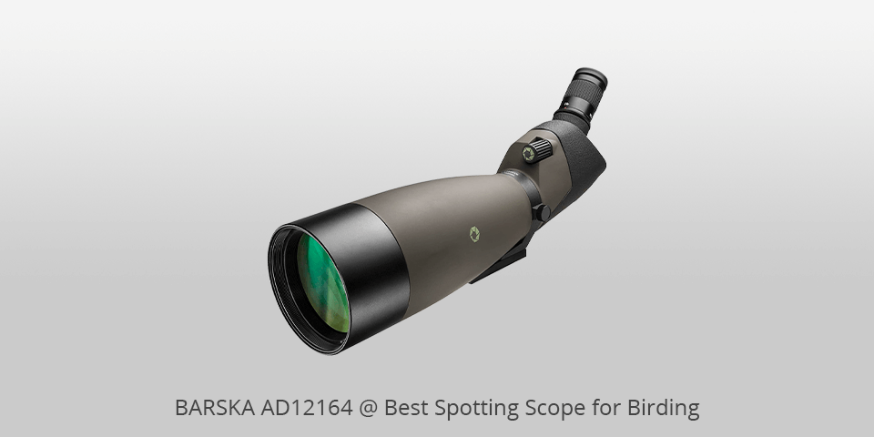 9 Best Spotting Scopes for Birding in 2025