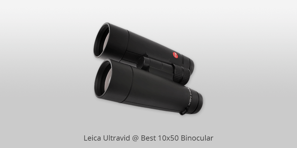 8 Best 10x50 Binoculars in 2025