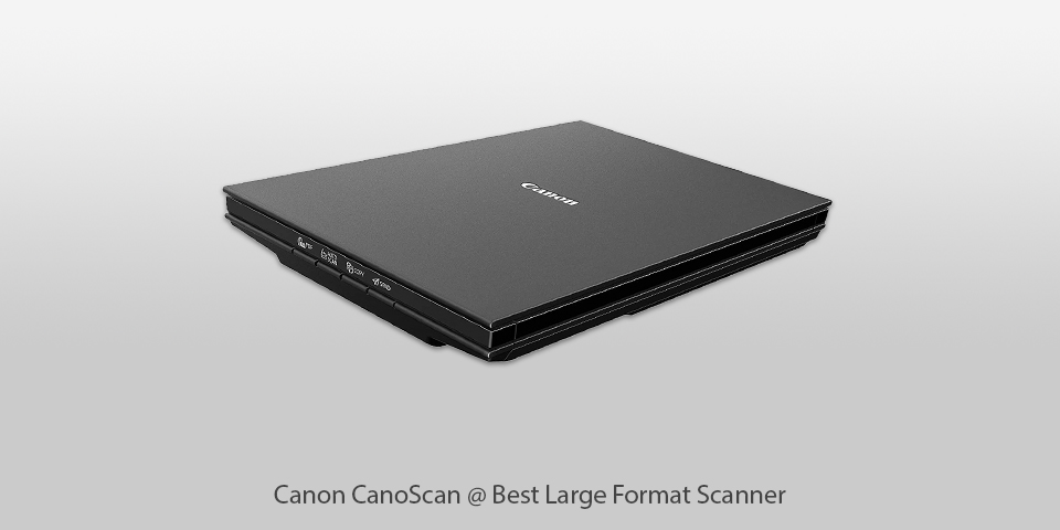 8 Best Large Format Scanners in 2025