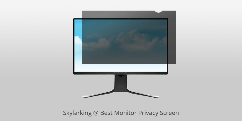 8 Best Monitor Privacy Screens in 2025
