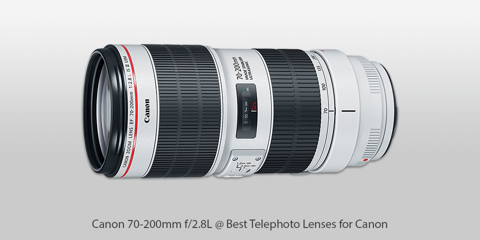 6 Best Telephoto Lenses for Canon in 2025