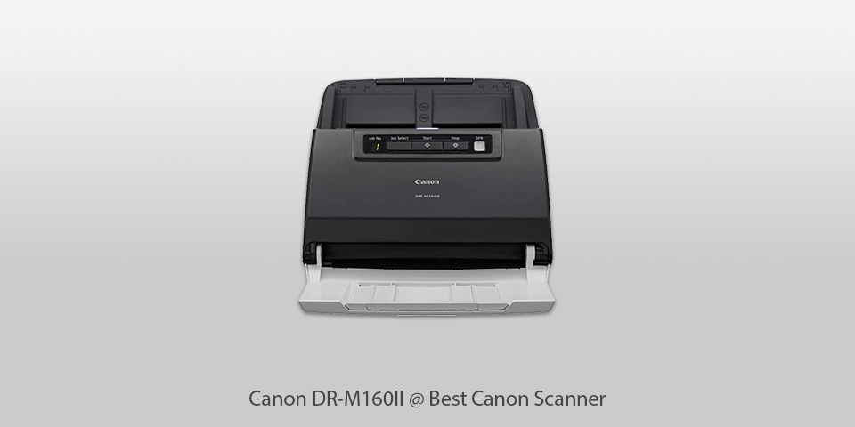 7 Best Canon Scanners in 2025: Best Picks for Any Purpose